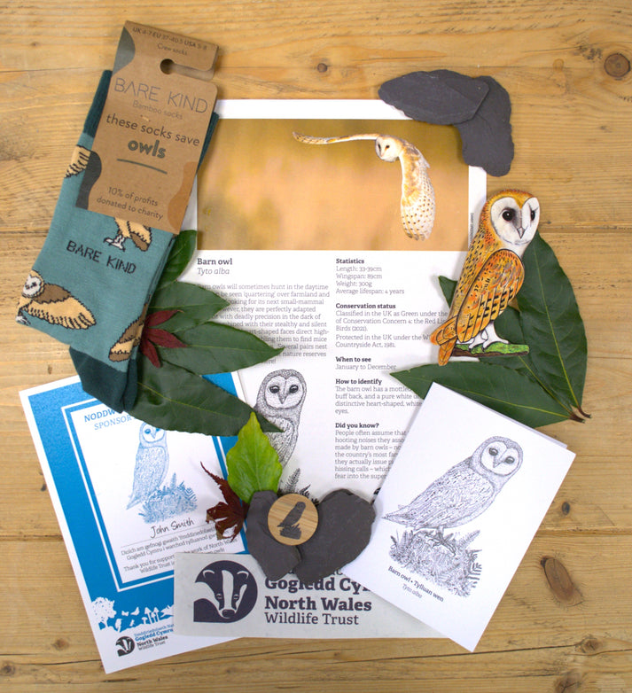 Sponsor a barn owl (with socks) – North Wales Wildlife Shop
