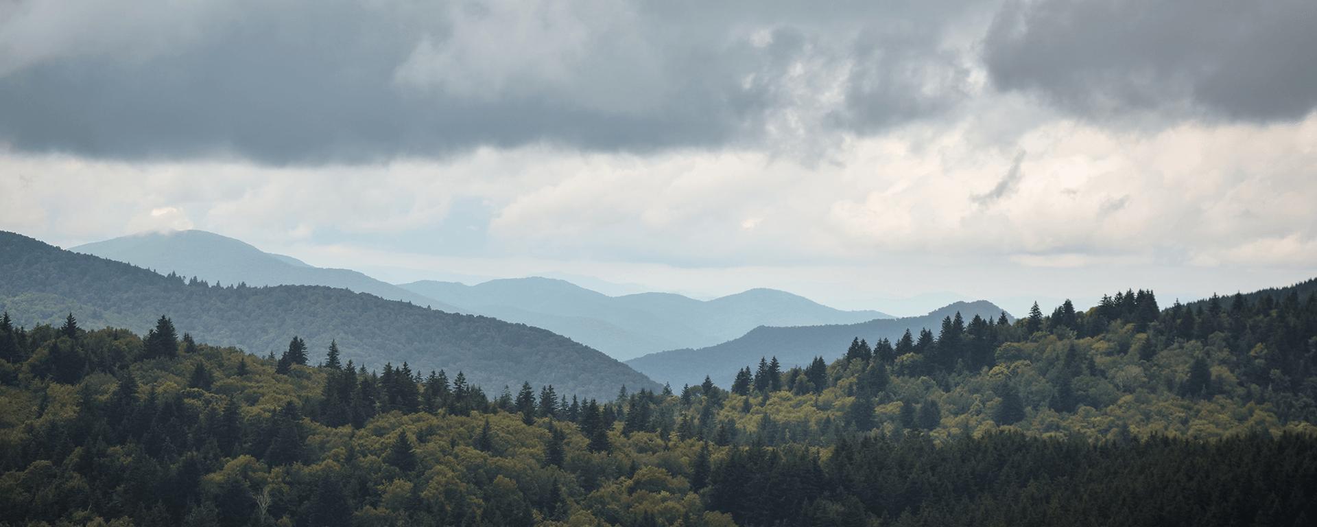 Teemill Sustainable Fashion – North Wales Wildlife Shop